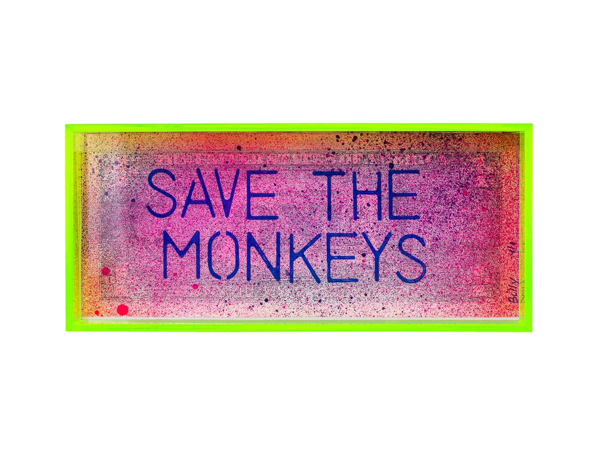 Save The Monkeys www.bg27.com.br